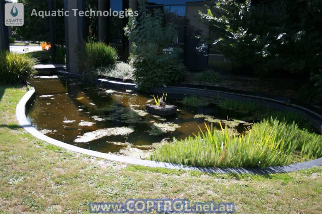 How to control algae in aquaculture